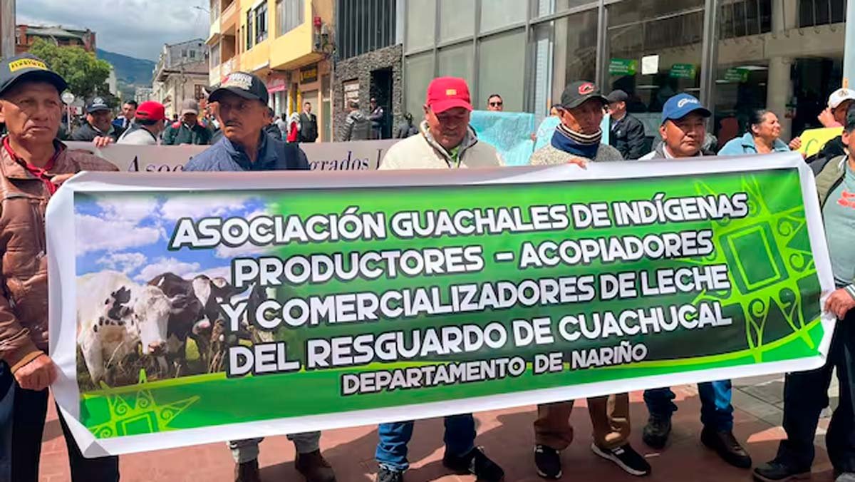 Crisis lechera en Nariño: Productores denuncian precios insostenibles y ...